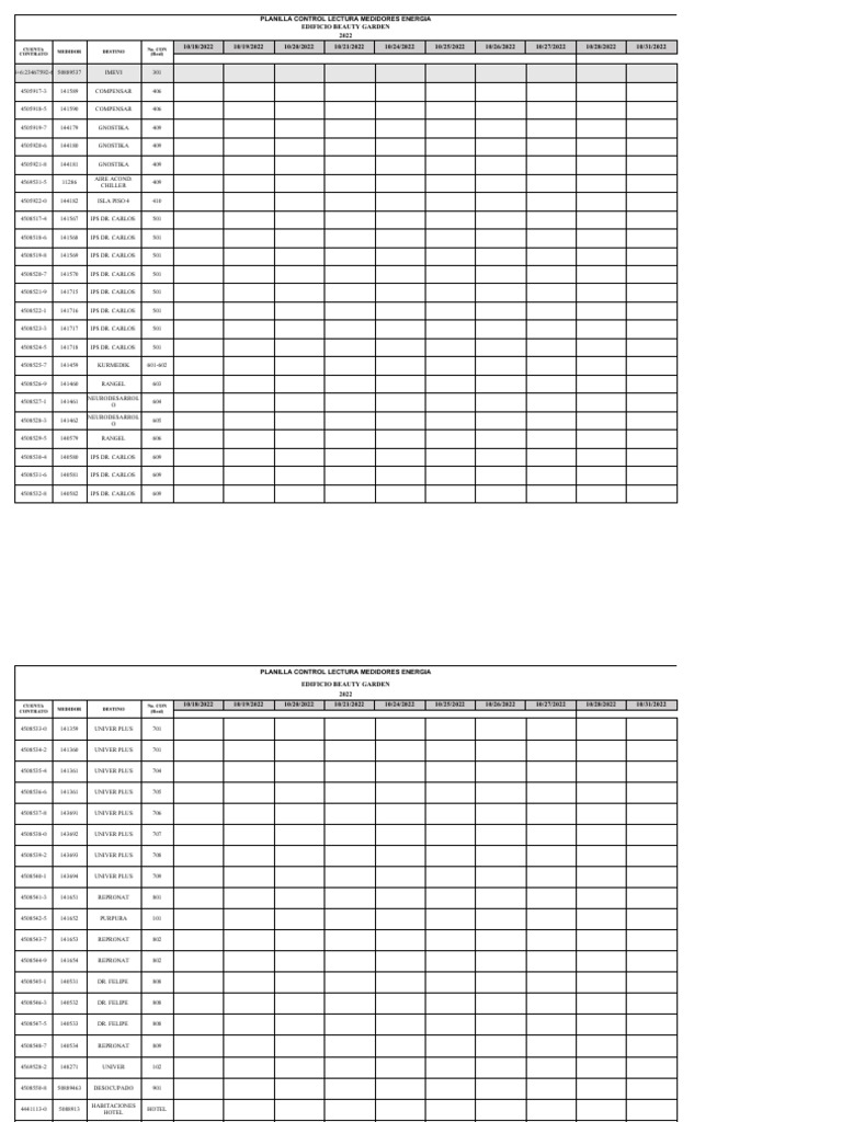 Control de Lectura de Medidores 2022 | PDF