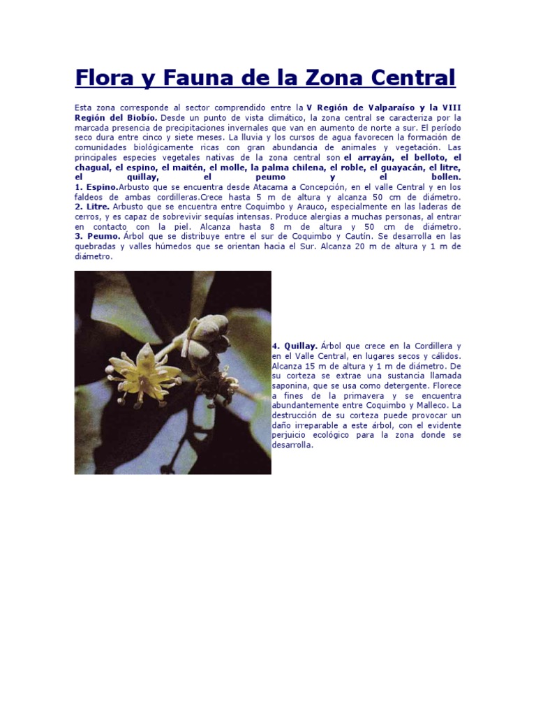 Flora y Fauna de La Zona Central | PDF | Organismos