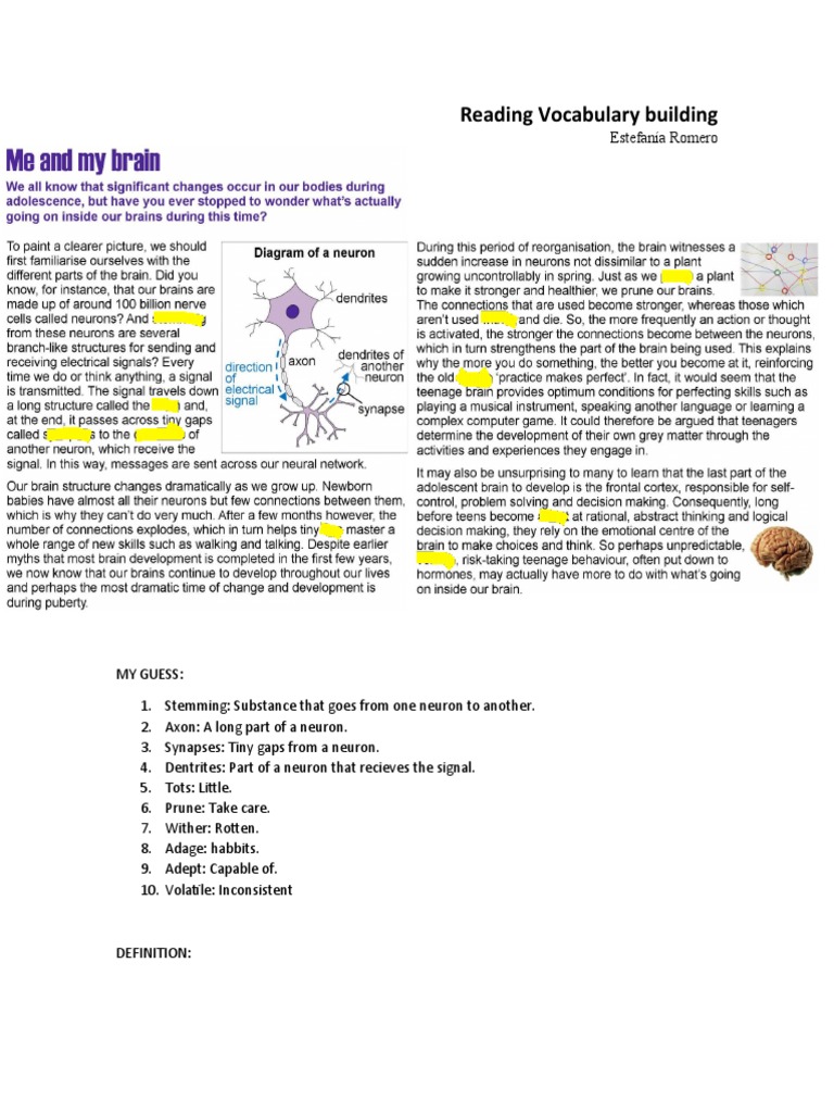Reading Vocabulary Building | PDF