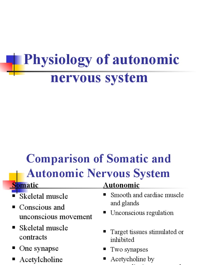 Autonomic vs Somatic Nervous Systems | PDF | Autonomic Nervous System ...
