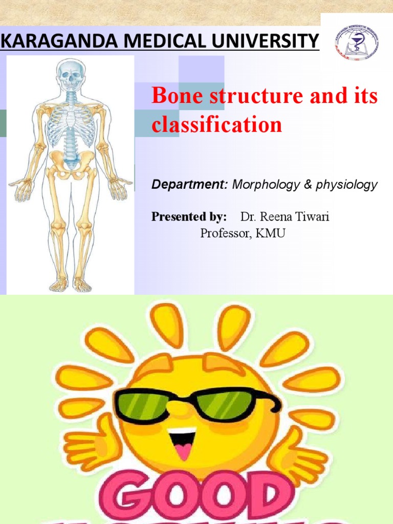 bone-structure-and-classification-pdf-bone-osteoblast