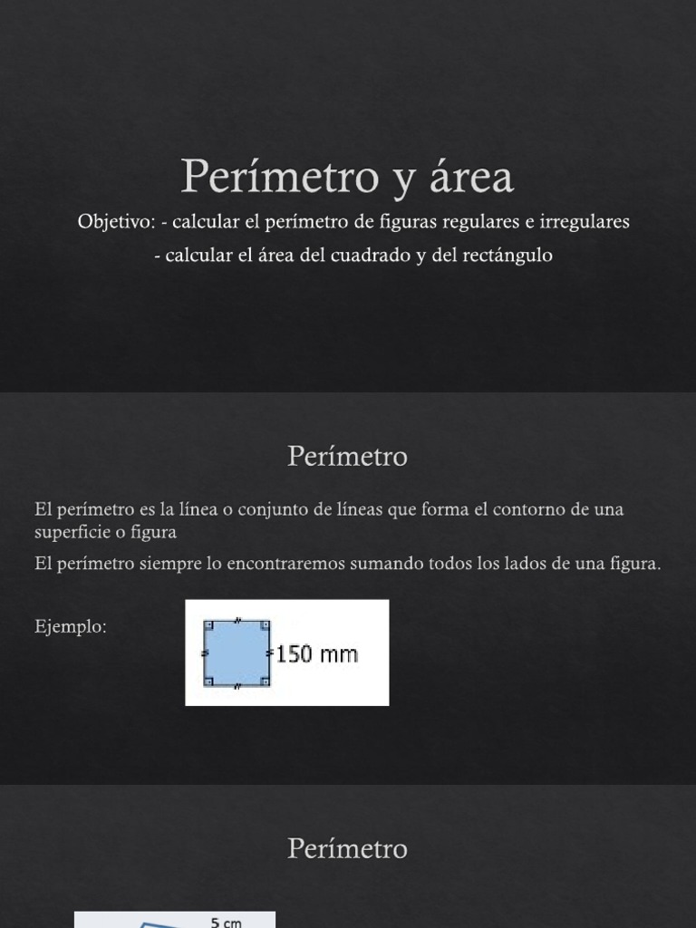 Perímetro y Área | PDF