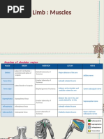 The Muscles of the Hand - Thenar - Hypothenar - TeachMeAnatomy | PDF ...