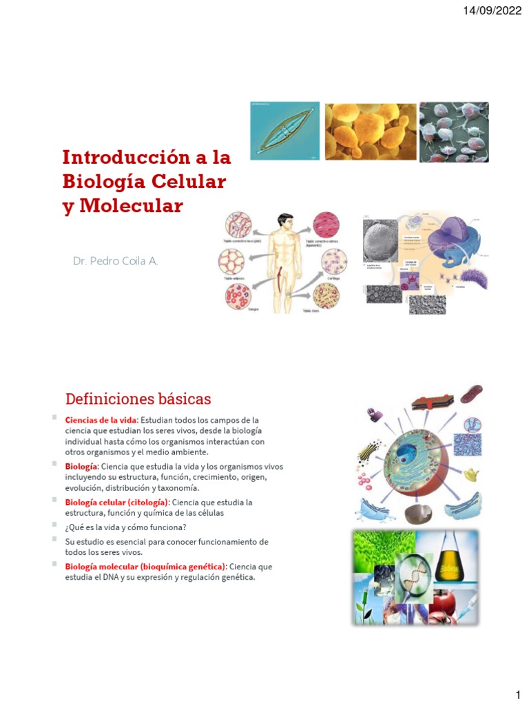 Introducción A La Biología Celular y Molecular: Definiciones Básicas | PDF | Biología | Vida