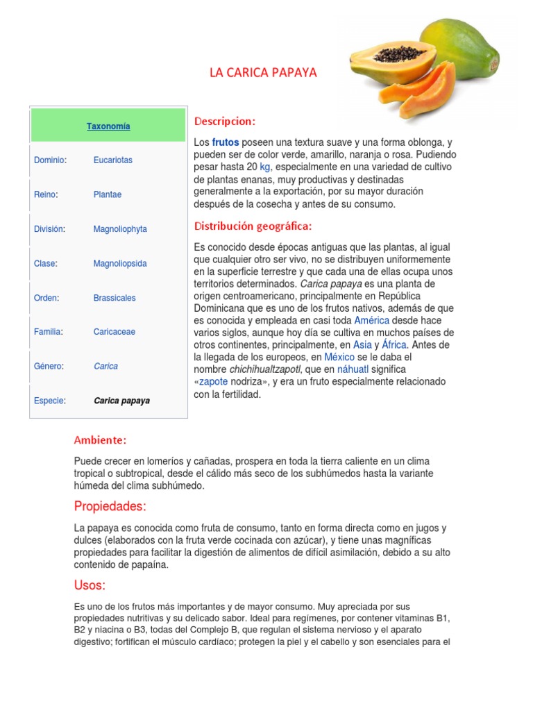 La Carica Papaya | PDF | Nutrición | Dieta y nutrición
