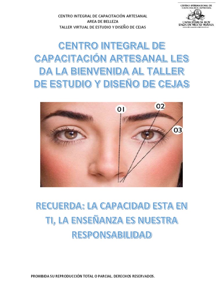 Diseño y cuidado de cejas: técnicas y beneficios | PDF | Ceja | Apariencia humana