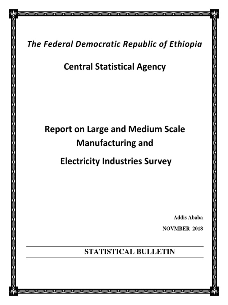 Large and Medium Manufacturing Industry Survey Report 2018 | PDF ...