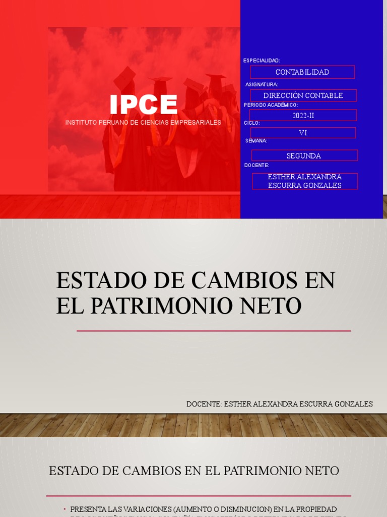 Estado de Cambios en El Patrimonio Neto | PDF | Valor neto | Contabilidad