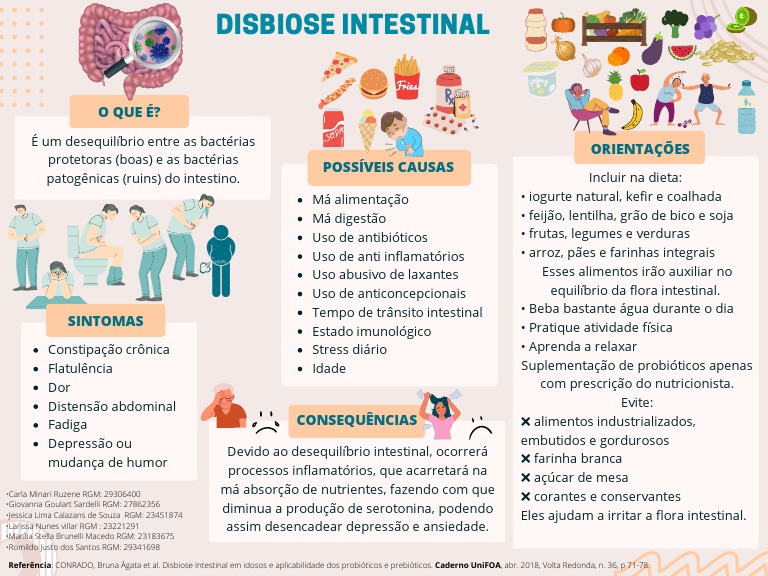 Lamina - Disbiose Intestinal | PDF | Trato gastrointestinal | Medicina ...