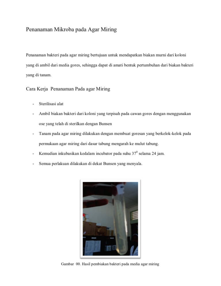 Penanaman Mikroba Pada Agar Miring | PDF