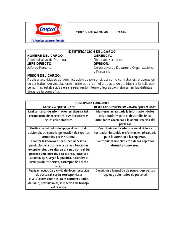 Perfil de Cargos | PDF
