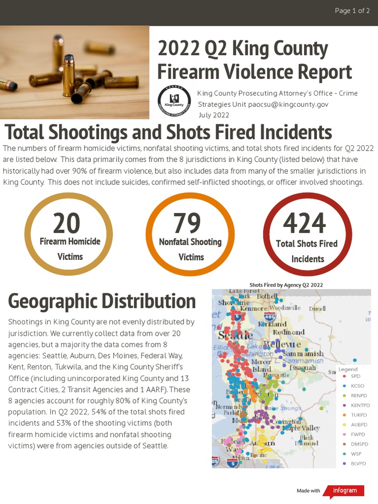 King County Firearm Violence Report | Download Free PDF | Race And ...