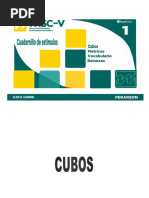 Cubos Wisc V | PDF | Cognición | Ciencia cognitiva