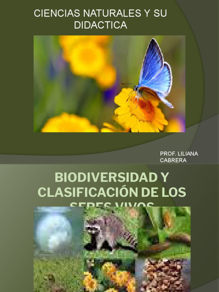 Biodiversidad y Clasificación de Especies | PDF | Biodiversidad | Especies