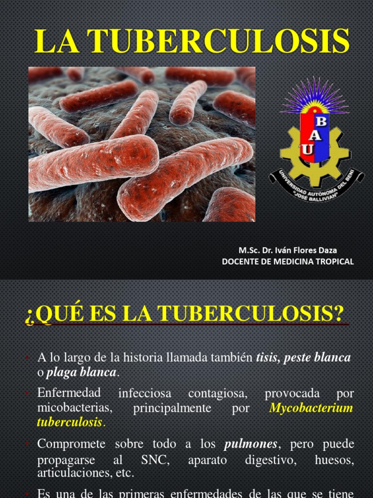 Comprendiendo la Tuberculosis: Causas y Tratamiento | PDF ...
