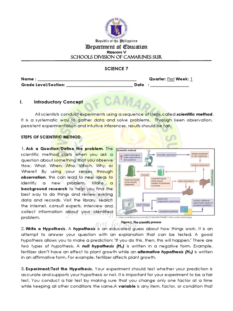 Scientific Method Guide for Science 7 | PDF | Experiment | Scientific ...