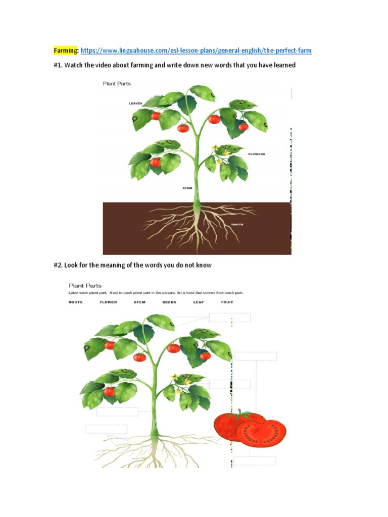 Farming Material Topic #6 | PDF