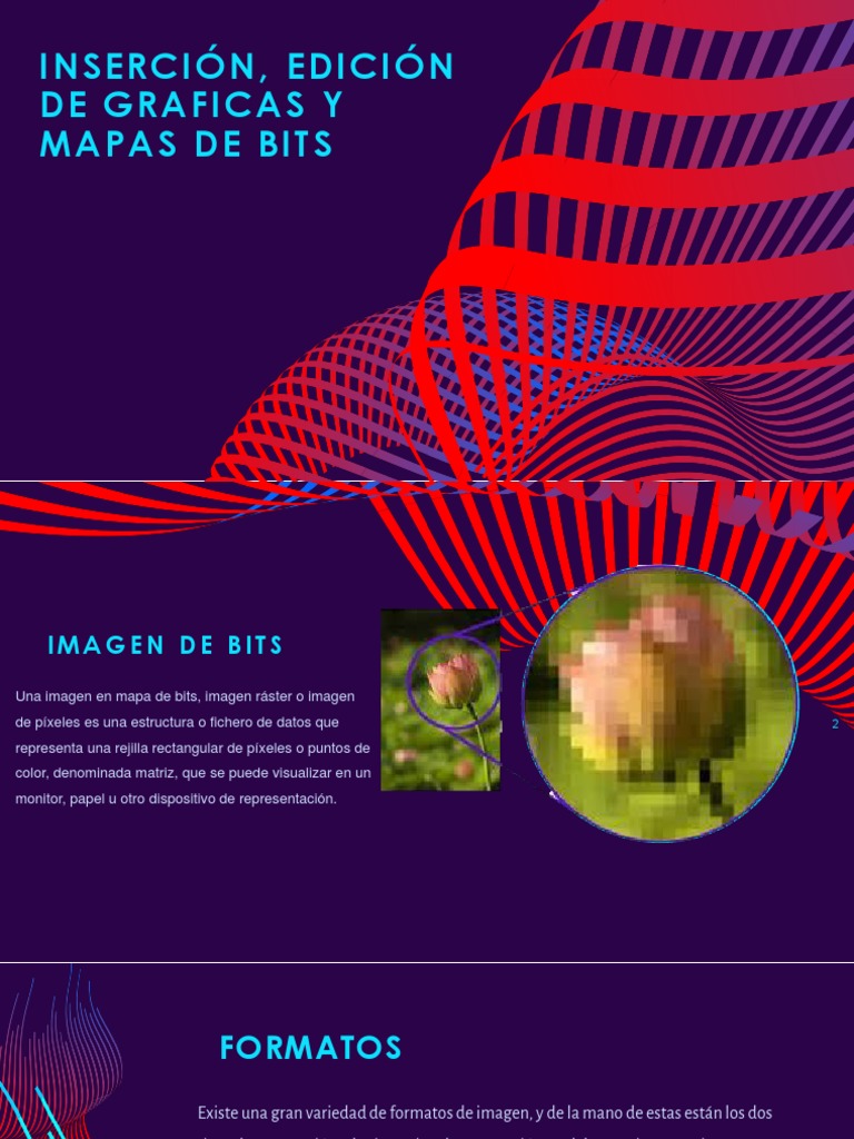 Inserción, Edición de Graficas y Mapas de | PDF | Formato de imagen sin procesar | Adobe Photoshop