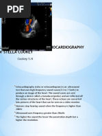 CCI Applicant Handbook Overview | PDF | Echocardiography | Identity ...
