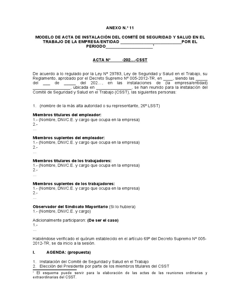 Anexo 11. Modelo de Acta de Instalacion Del Comite | PDF | Gobierno