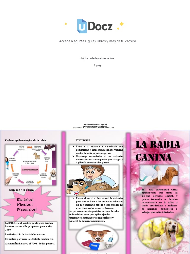 Triptico de La Rabia Canina 110337 Downloable 2001563 | PDF | Rabia ...