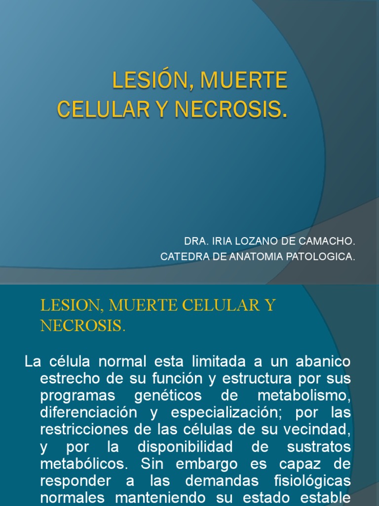 Lesion, Muerte Celular y Necrosis | PDF | Apoptosis | Necrosis