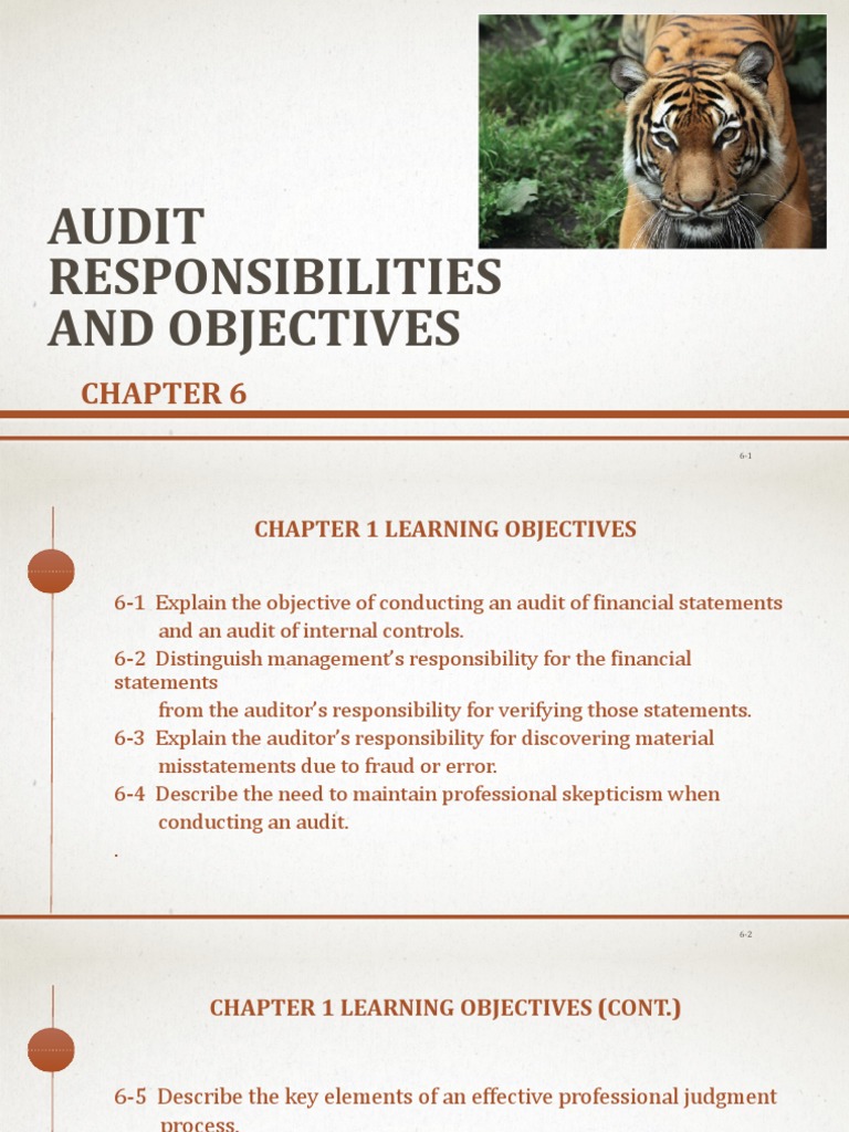 Chapter 6 (Audit Responsibilities and Objectives) | PDF | Financial ...