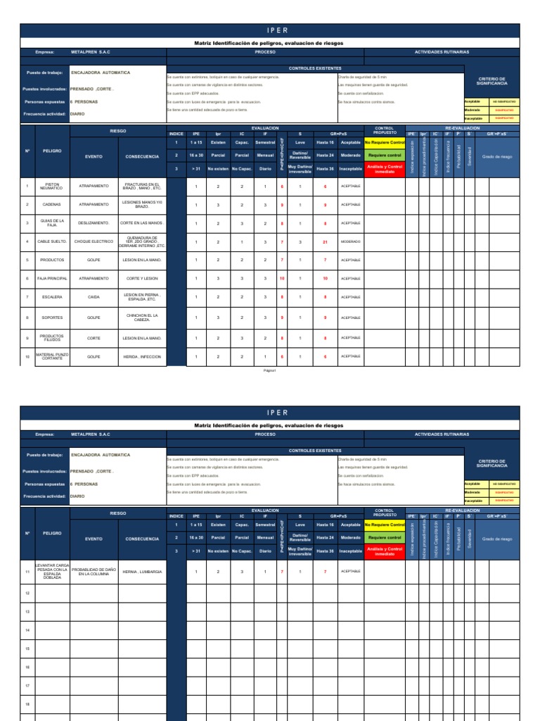 2022 20 IPER Matriz Formato | PDF