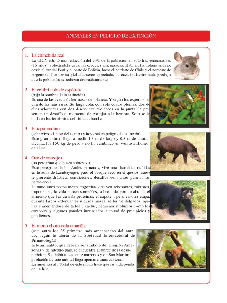 Animales en Peligro de Extinción | PDF | Organismos
