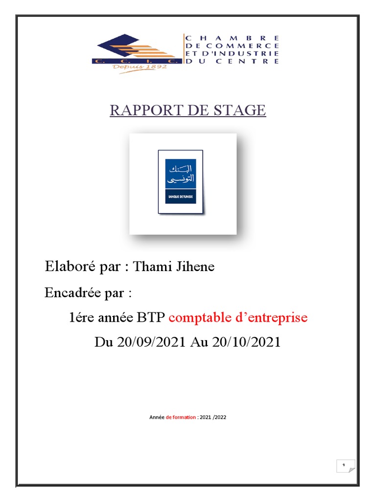 Rapport de Stage Ayoub | PDF | Chèque | Banques