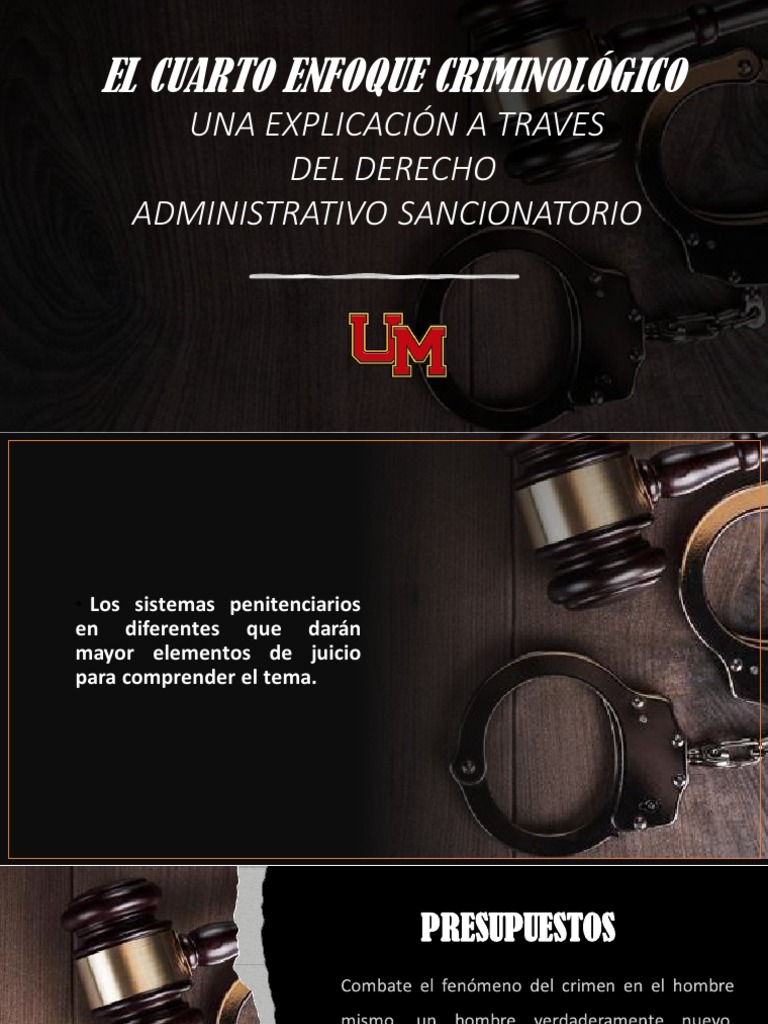 Cuarto Enfoque | PDF | Derecho penal | Estado (política)