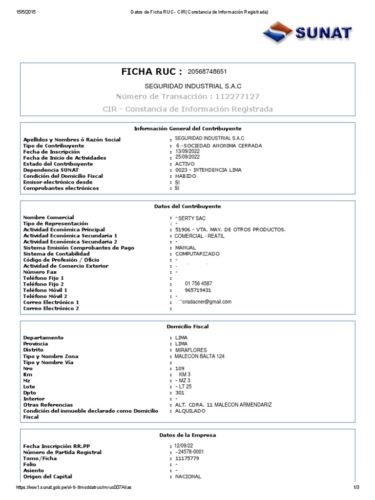 Ejemplo de Ficha RUC SUNAT | PDF | Lima | Industrias de servicio