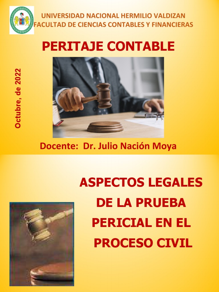 Peritaje Contable | PDF | Testigo experto | Evidencia (ley)