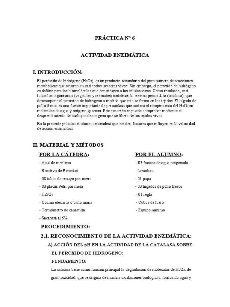 Pract 6. Actividad Enzimática | PDF | Peróxido de hidrógeno | Enzima