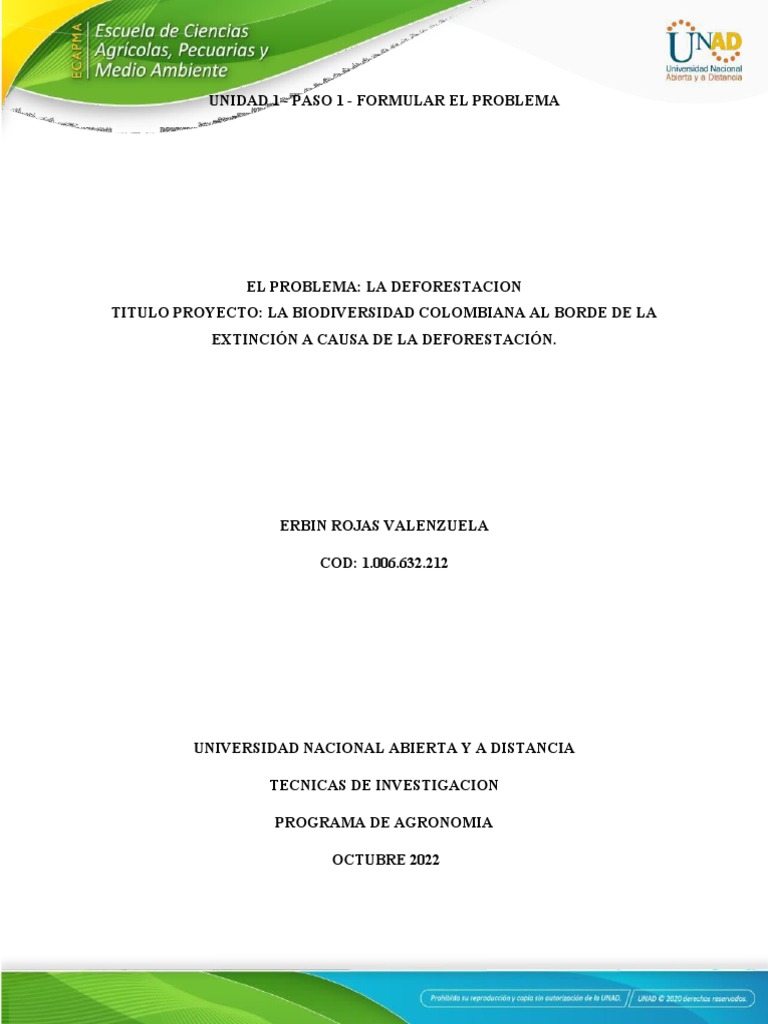 Paso 1 - Formular El Problema | PDF
