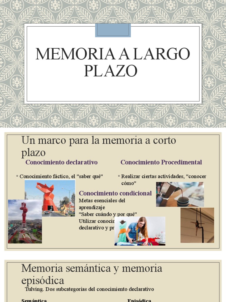 Memoria A Largo Plazo | PDF | Memoria | Proposición