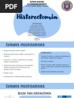 Colpoperineoplastia: Técnica y Procedimiento | PDF