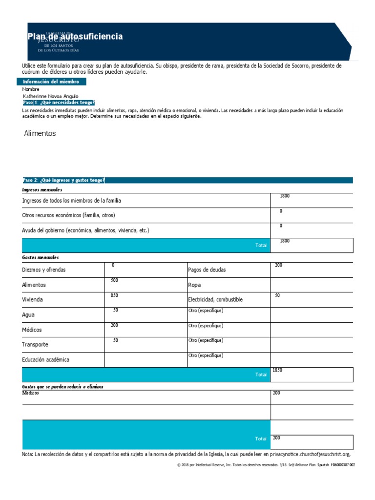 Plan de Autosuficiencia | PDF | Presupuesto | Economias