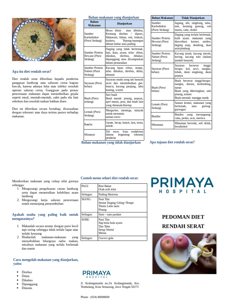 Panduan Diet Rendah Serat | PDF