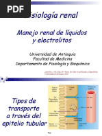 Función del túbulo contorneado distal | PDF | Riñón | Biología Celular