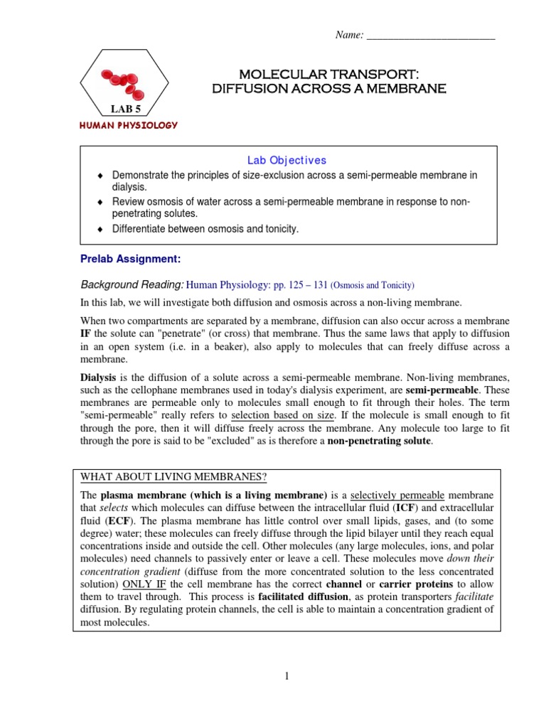 Lab 5 Osmosis and Tonicity | PDF | Cell Membrane | Osmosis