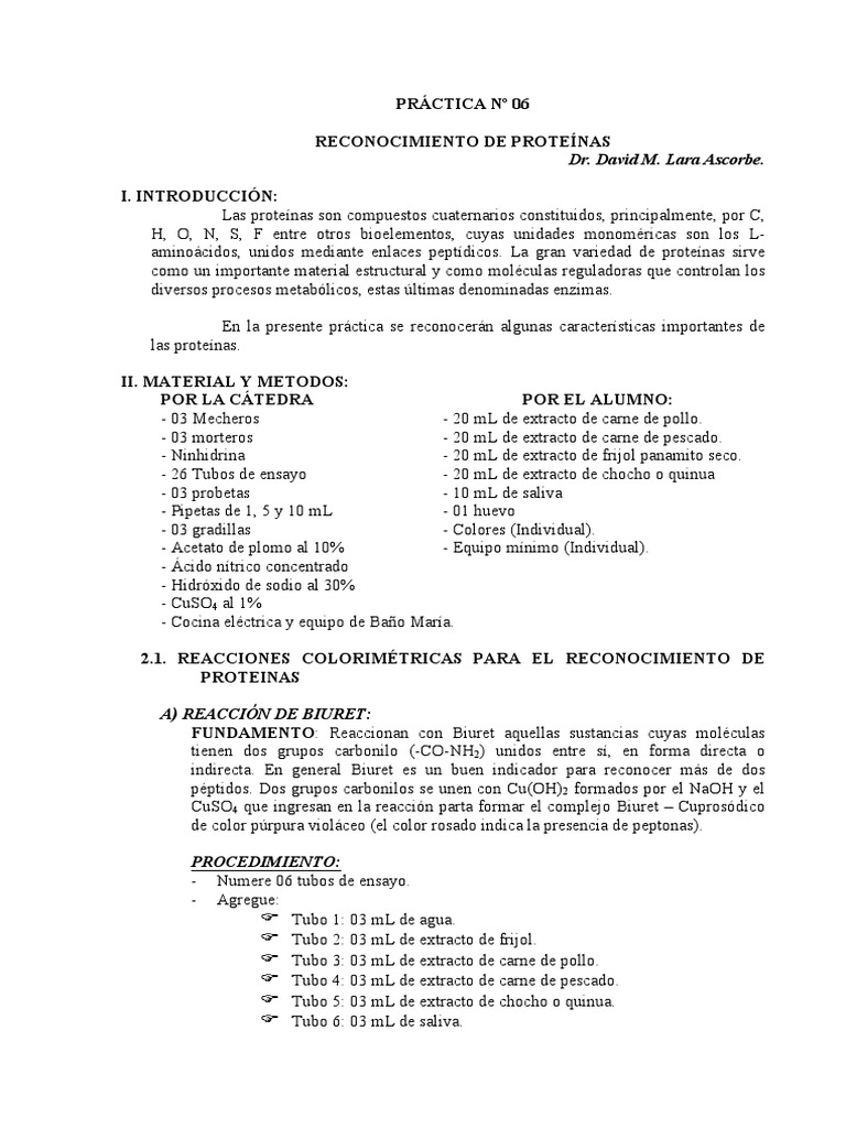 Pract 6 Proteínas | PDF | Proteínas | Péptido