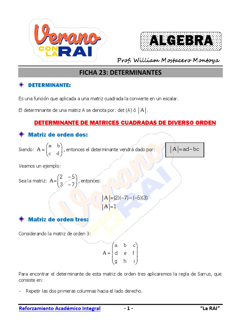 Determinantes y Matriz Identidad 3x3 | PDF | Determinante | Matriz ...