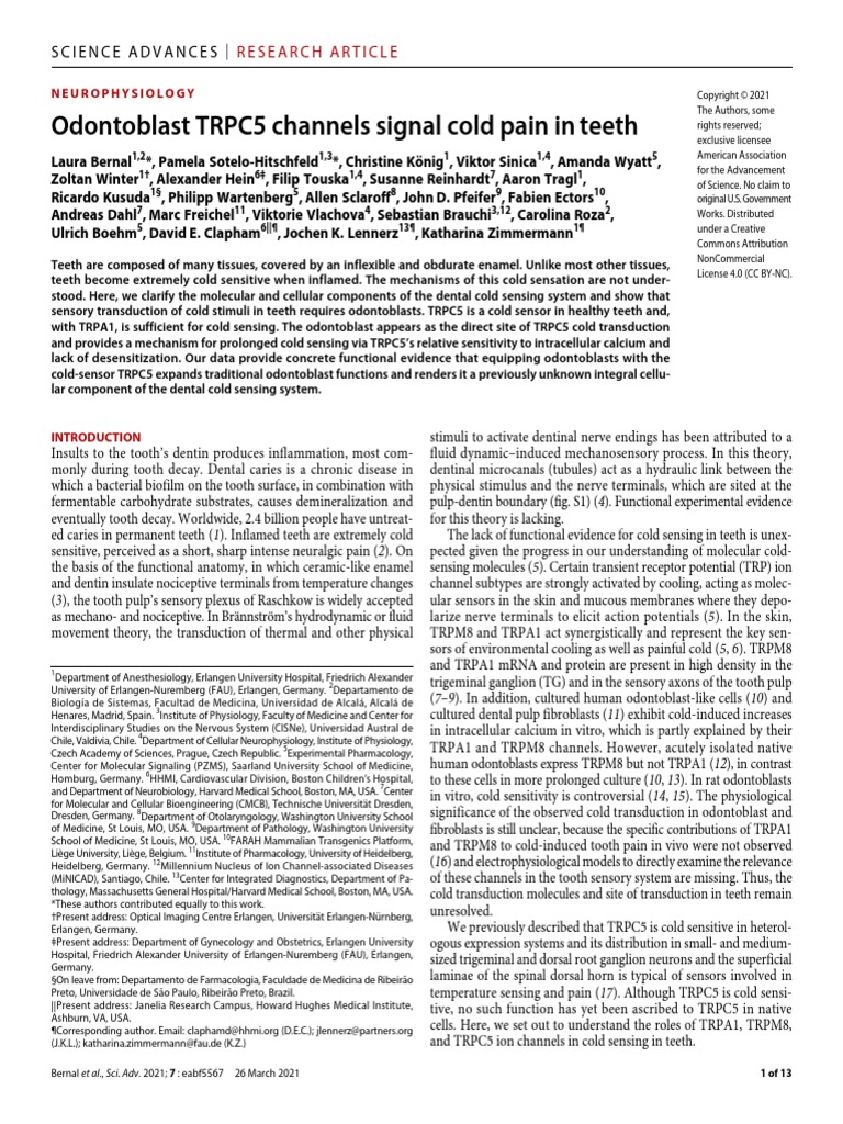 TRP-C5 Sensor Odontoblastos Frio | PDF | Dentin | Human Tooth