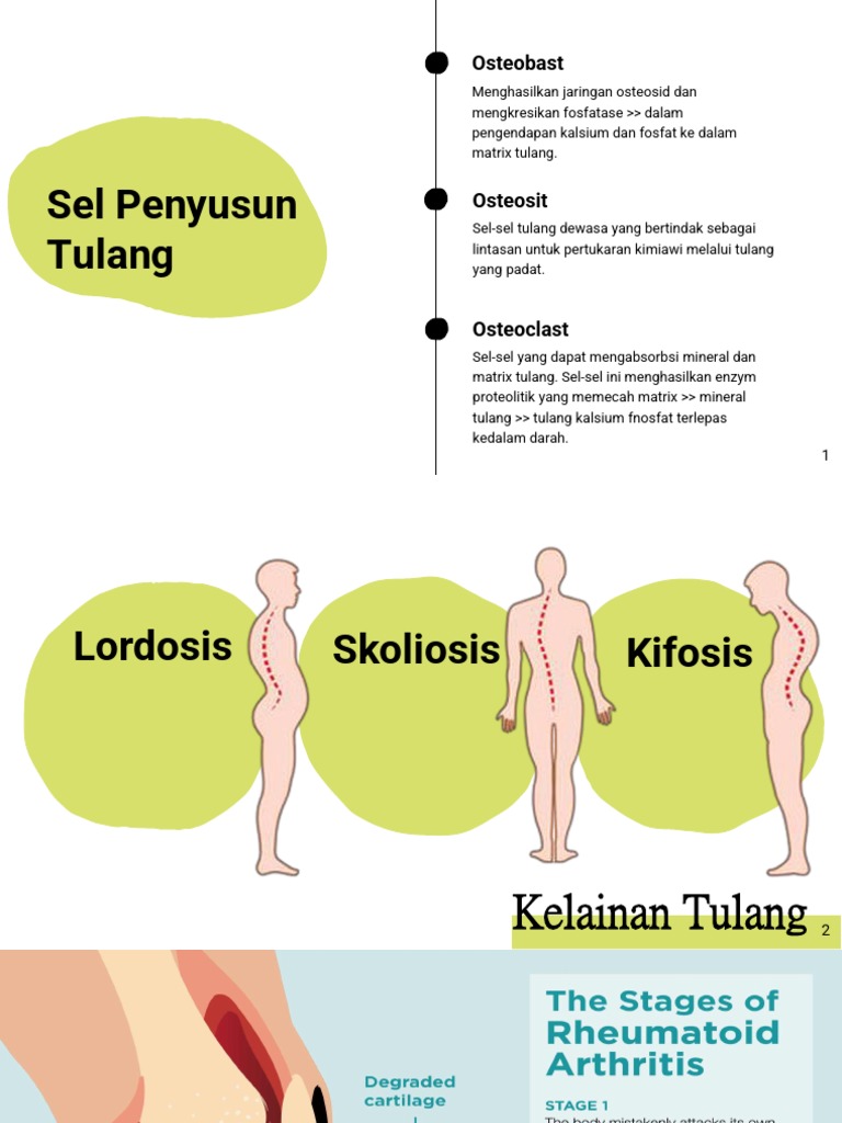 Anatomi Otot - Miologi (Edited) | PDF