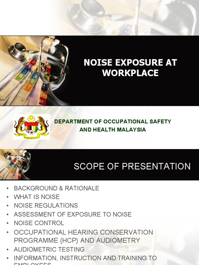 Workplace Noise Exposure: A Guide for Safety Compliance | PDF | Hearing Loss | Noise