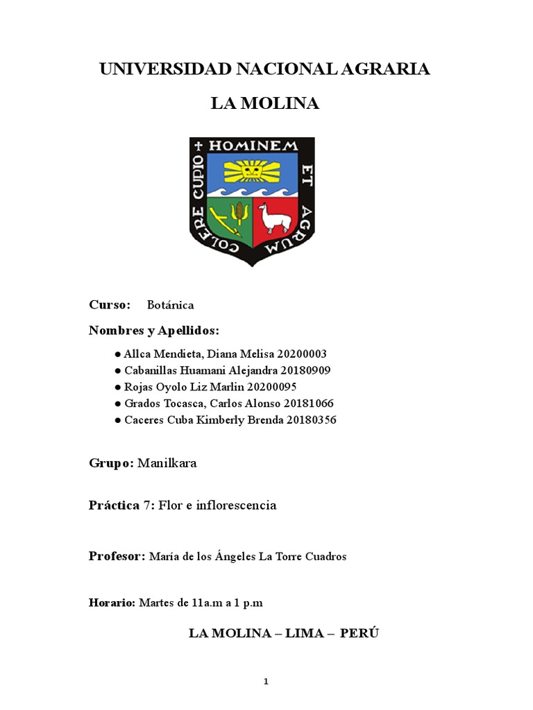 Práctica 7 - Flor e Inflorescencia-Grupo A | PDF | Flores | Organismos