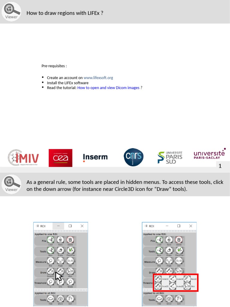 LIFEx Tutorials How To Draw Regions | PDF | Icon (Computing) | Menu ...