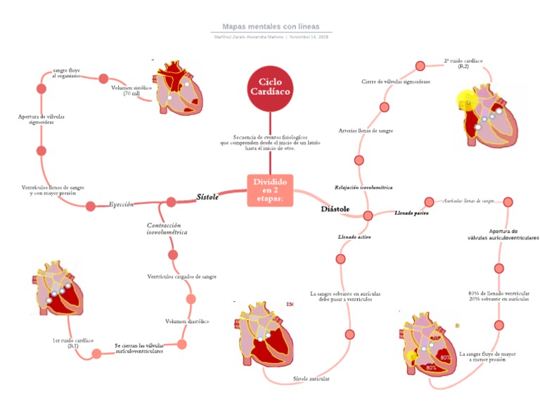 Ciclo Cardíaco: Etapas y Eventos | PDF | Corazón | Sistema cardiovascular