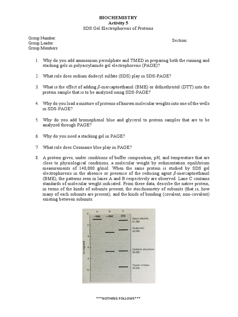 Lab Act 5 | PDF